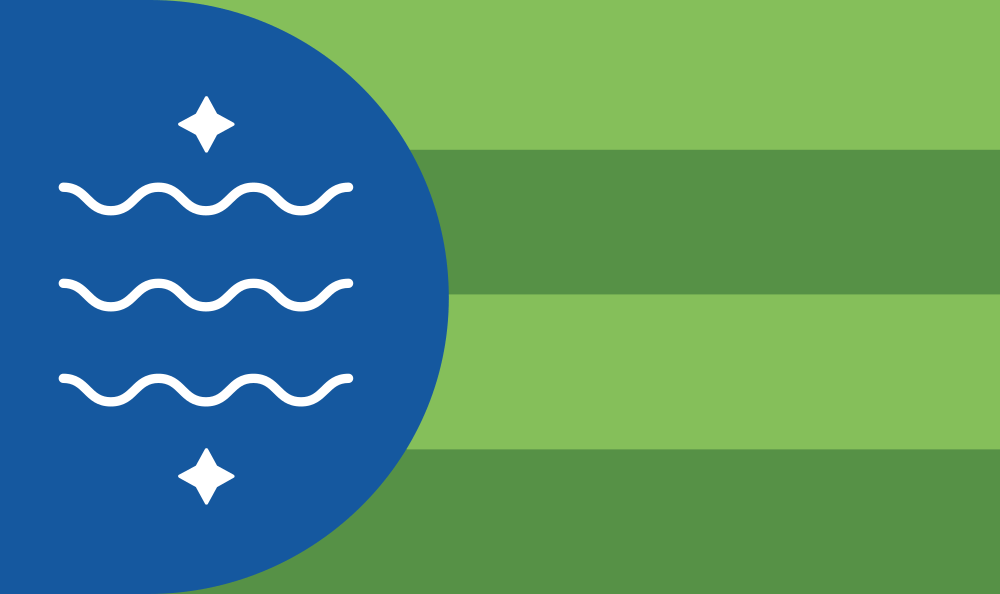 Bellingham flag color codes