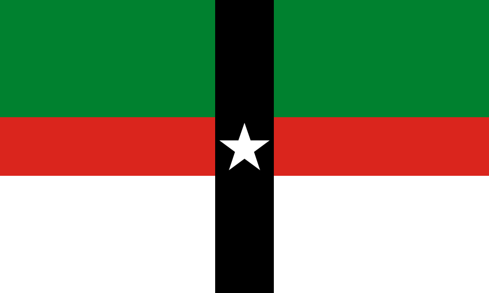 Denison flag color codes