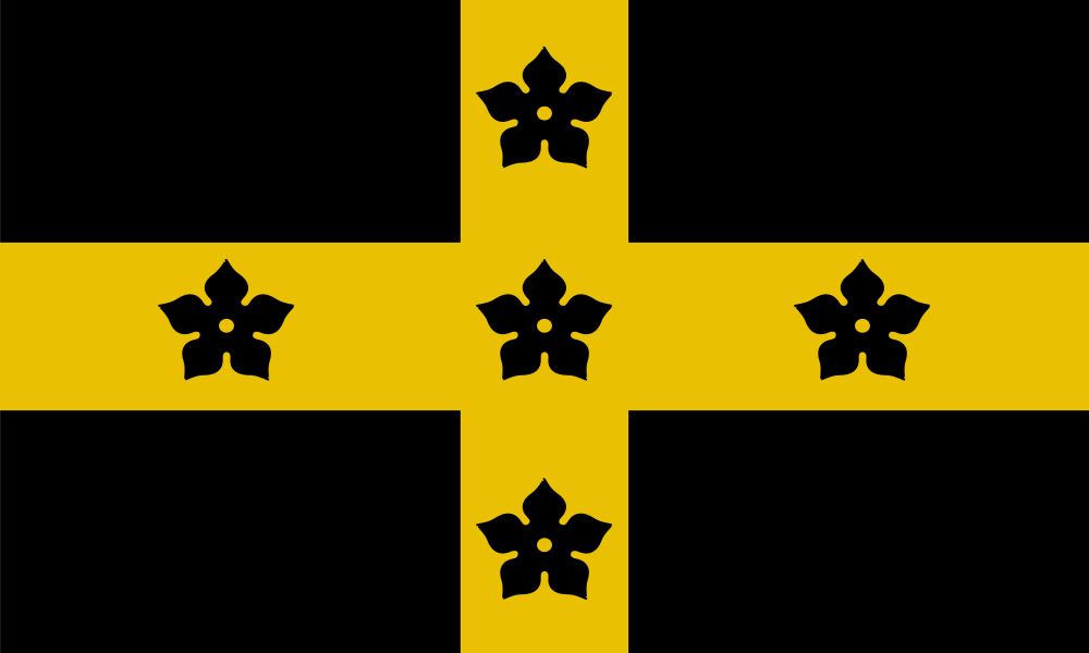 Diocese of Saint Davids flag color codes