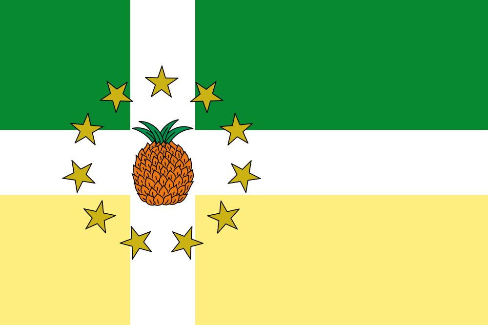 Lajas flag color codes