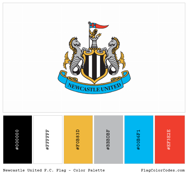 Newcastle United Flag